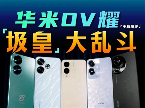 「小白」2024圾皇大乱斗！华米ov耀 菜鸡互啄 小白测评 小白测评 哔哩哔哩视频