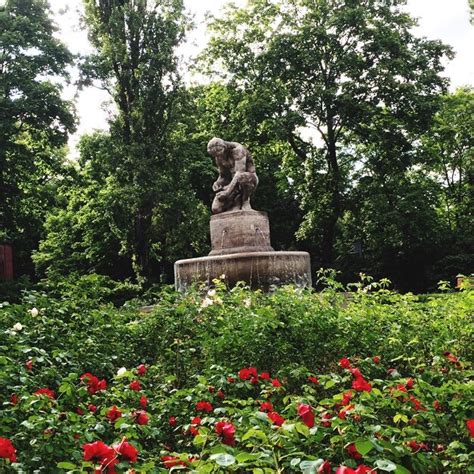 Plantas Que Crecen En El Parque Foto Premium