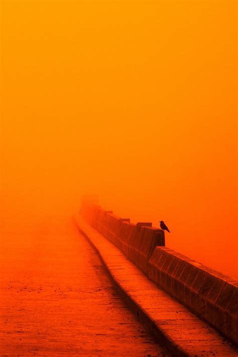 다리 도로 안개 안개가 자욱한 Pixabay의 무료 사진 Pixabay