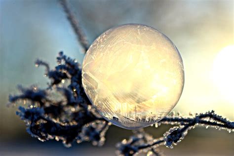 Snow Frost Bubble Frost Ball Free Photos On
