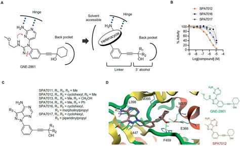Drug Design And Identification Of Spa As Pak Inhibitor A Design