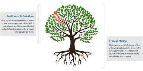 Processmining Efficiency Optimization Bright Cape