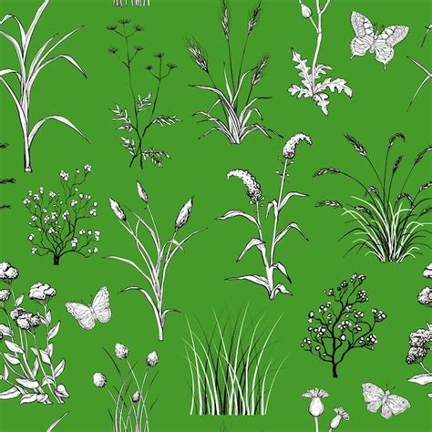 Padrão sem costura ervas e flores de campo desenhadas à mão Vetor Premium