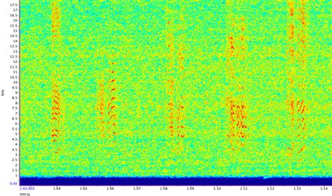 Keeping Up With The Halo Project Recovering Rockhopper Acoustic