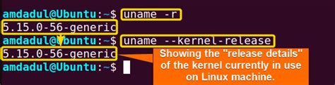 The Uname Command In Linux 11 Practical Examples