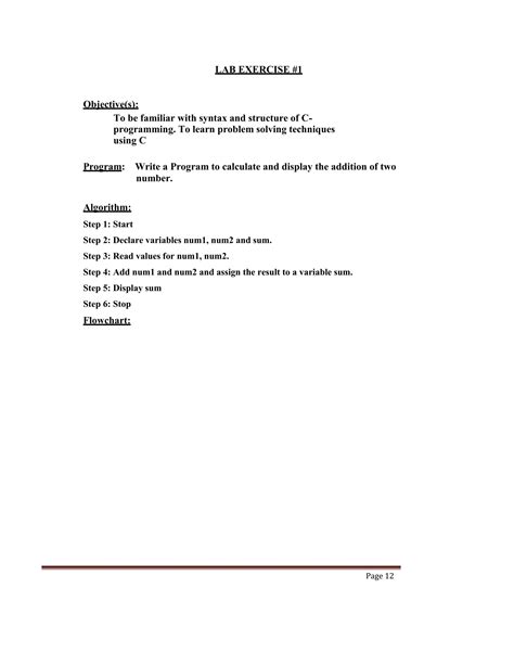 Lab Report Sample Of C Programming Docx