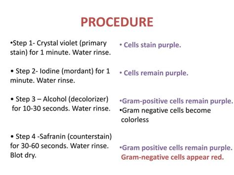 Bacterial Staining Pptx
