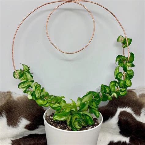 Hand Hammered Copper Trellis Houseplant Hoya Trellis Indoor Etsy