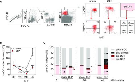 Decline In Pre Dc Number And Altered Pre Dc Commitment In The Bm During