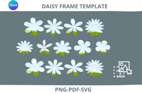 Daisy Canva Frame Template Drag And Drop Graphic By Cryptoaccenthub · Creative Fabrica