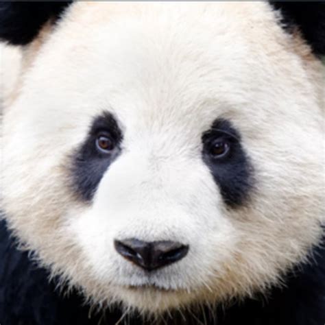 Xiaolin Lu Shantou University Stu Research Profile