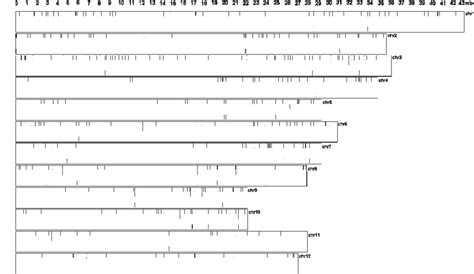 Distribution Of Local Coexpression Domains Over All 12 Rice