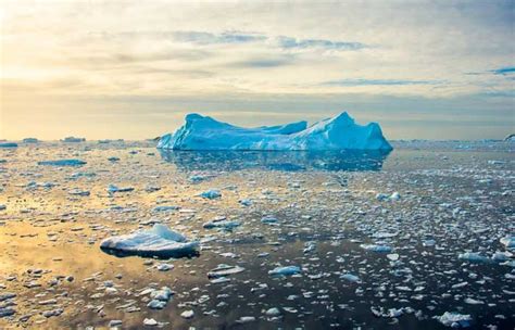 Gelo No Mar Da Antártida Chega Ao Menor Nível Registrado Espaço Ecológico