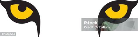 Vektor Warna Mata Singa Ilustrasi Stok Unduh Gambar Sekarang Agresi Alam Bahaya Konsep