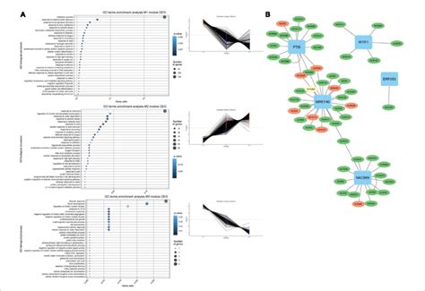 A Co Expression Gene Modules And Their Expression Pattern Identified Download Scientific
