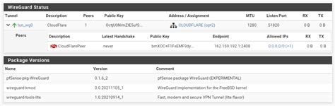 CloudFlare WARP And WireGuard Netgate Forum