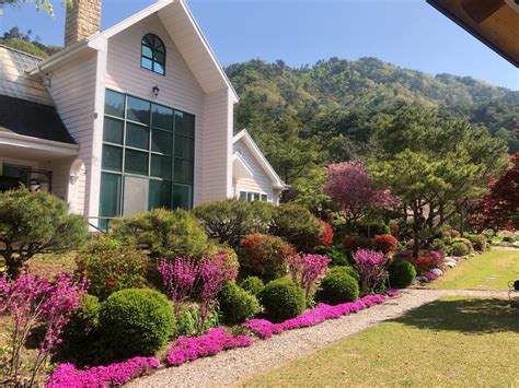 꽃과정원이야기가드닝꽃이름야생화초화류꽃조경정원나무조경수전원주택귀농귀촌 Band