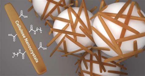 Cellulose Nanocrystal Based Materials Pritzker School Of Molecular