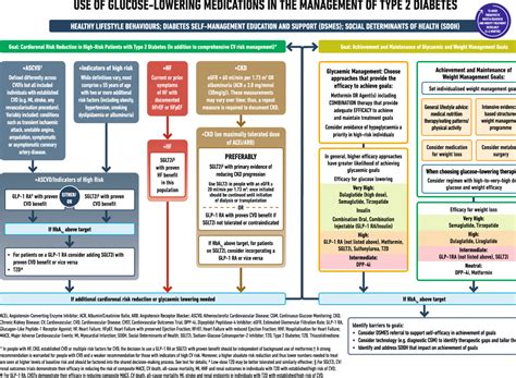 Type 2 Diabetes Treatment Guidelines 2025 Ada And Who Recommendations Metformin Lifestyle