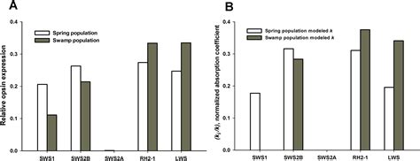 Using Electroretinograms And Multi Model Inference To Identify Spectral