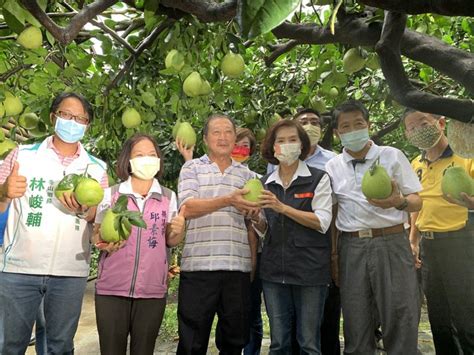 颱風逼近視察文旦柚採收 林姿妙推五大行銷好康 基宜花東 地方 聯合新聞網