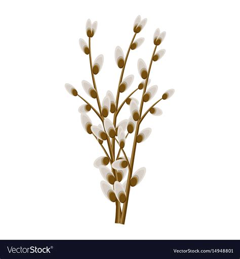 Bunch Of Willow Twigs Isolated Royalty Free Vector Image