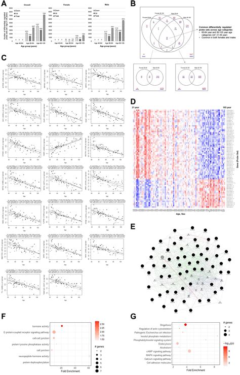 Genome Wide Transcriptome Profiling And Development Of Age Prediction