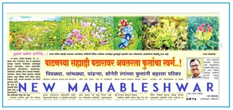 Pranali Jadhav Posted On Linkedin