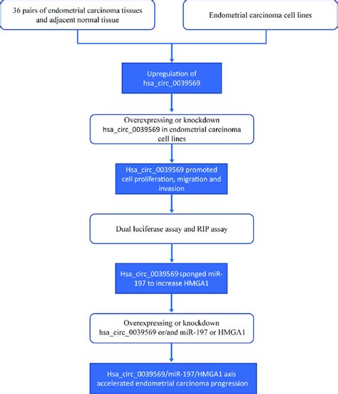 A Flow Chart Diagram Of The Design For This Study Download Scientific Diagram