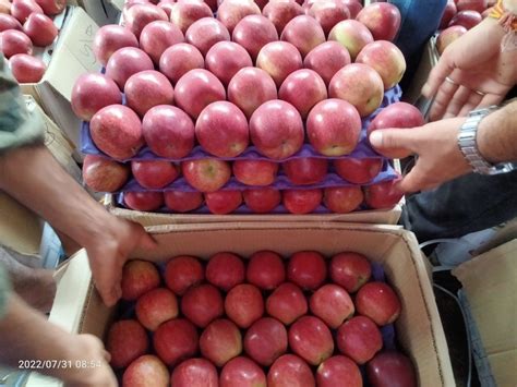 Himachali A Grade Apple Packaging Size 2530 Kg Packaging Type