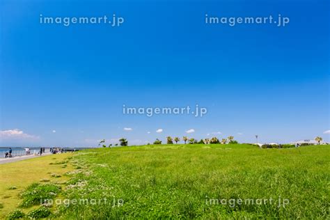 千葉県木更津市 内港公園の写真素材 202553110 イメージマート
