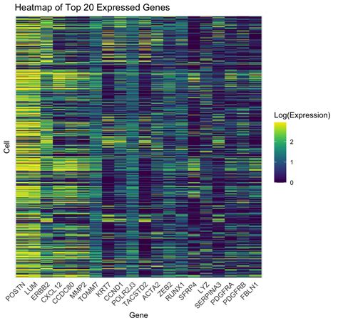 generation of heatmap expressing top 20 genes within pikachu dataset