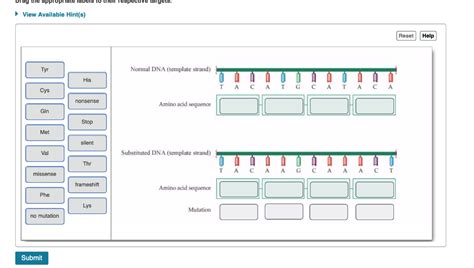 Week 14 Chapter 21 Homework Genetic Mutations