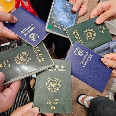 여권사진 규격 귀 옷색깔 눈썹 화장 앞머리 규정 총정리 네이버 블로그