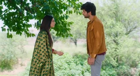Udaariyaan Harleen Rejects Ekam New Villain In Nehmats Life