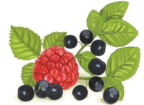 Getting Started With Raspberry Pi Human Infrared Sensing Alarm System