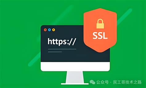 爽了！一分钟轻松搞定 Ssl 证书自动续期，解决免费证书每 3 个月失效问题 腾讯云开发者社区 腾讯云