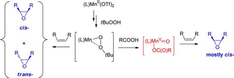 Acs Catalysis X Mol