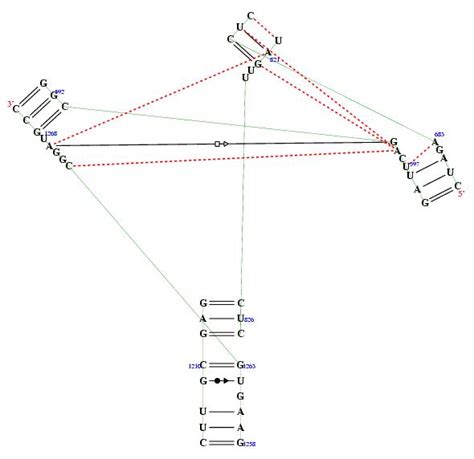 Rnajunction