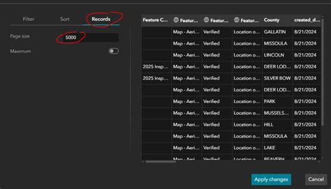 Query Widget Not Returning All Values Esri Community