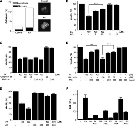 Death Of Primary Hepatocytes By Pa A Primary Human Hepatocytes