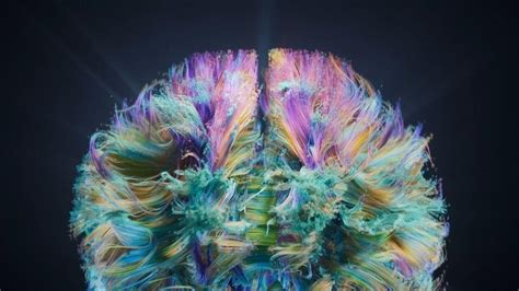 Fiber Tracts In Brain Using Diffusion Tensor Imaging Rnextfuckinglevel