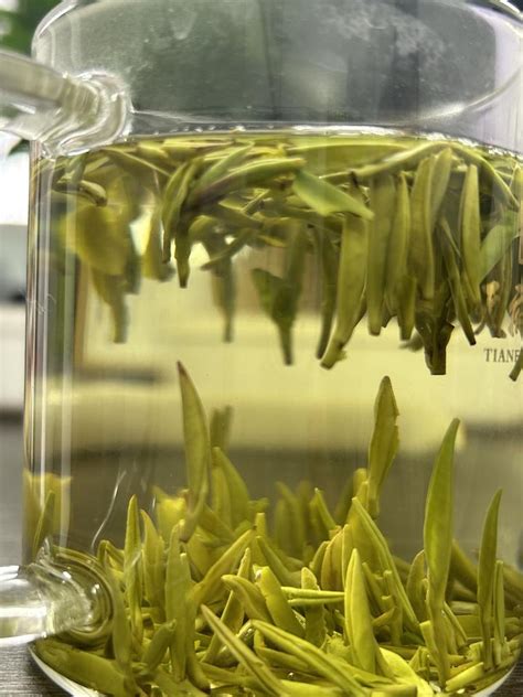 绿茶怎么选绿茶什么品牌比较好喝最值得入手的绿口粮茶品牌推荐 知乎