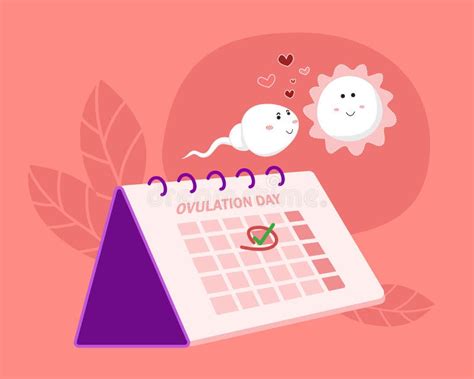 Ovulation Concept Hand Mark Ovulation Date On Calendar Stock Vector