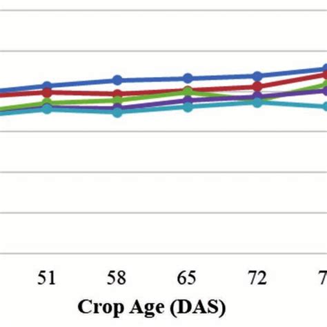 Effect Of Crop Age On Insect Vector Population In Different Dates Of
