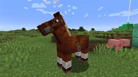What Do Horses Eat In Minecraft Answered The Nerd Stash