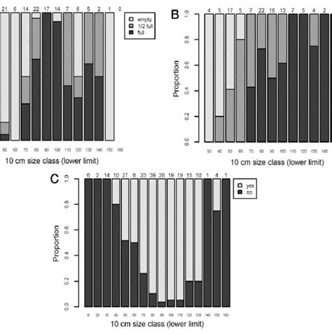 Size Related Variations In The Macroscopic Appearance Of Testes Of Download Scientific Diagram