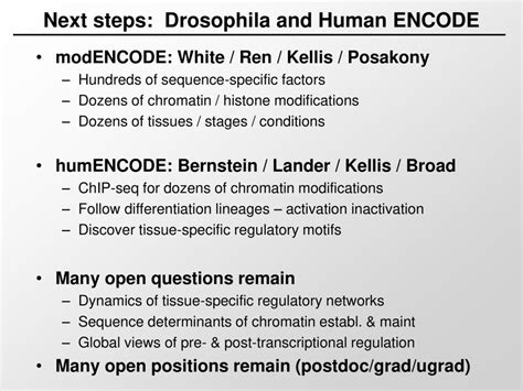 Comparative Genomics In Flies And Mammals Ppt Download