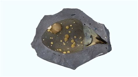 Basalt 3d Models Sketchfab