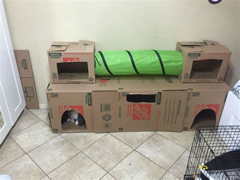 Diy Cardboard Cat House Artofit
